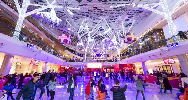 Join Our Ice Rink Team